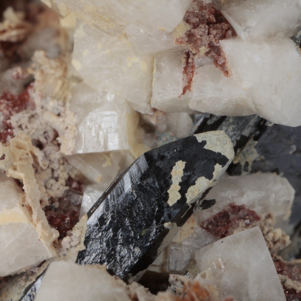 Aegirine 2 1/2" x 1/4" x 1/4" - Celestial Earth Minerals