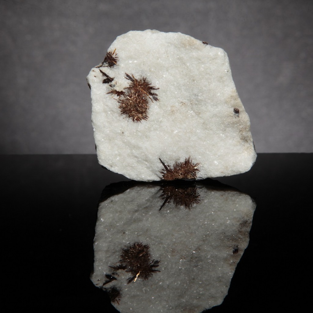Astrophyllite 3 1/2" x 2" - Celestial Earth Minerals
