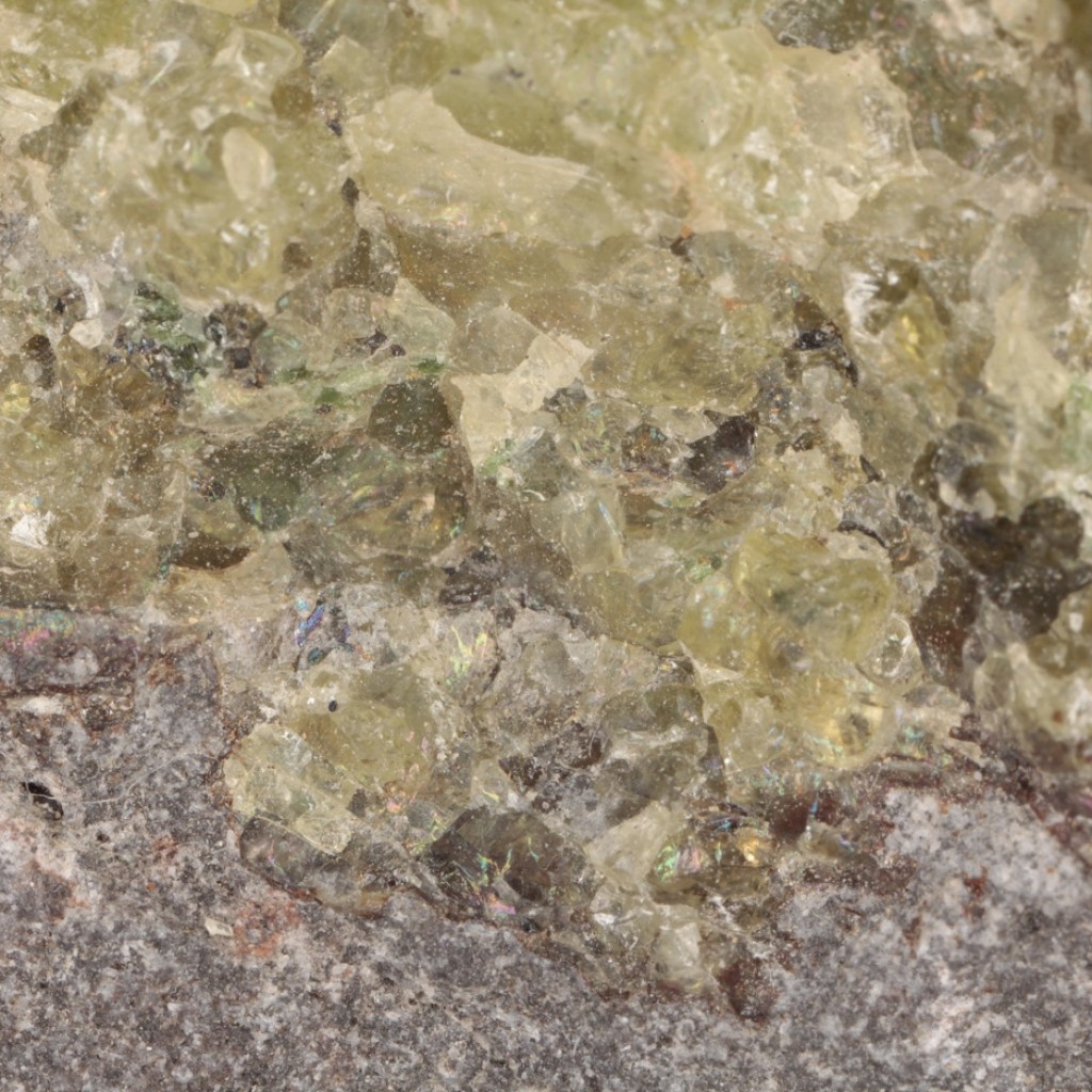 Peridot, Forsterite Crystal Mineral Specimen - Celestial Earth Minerals