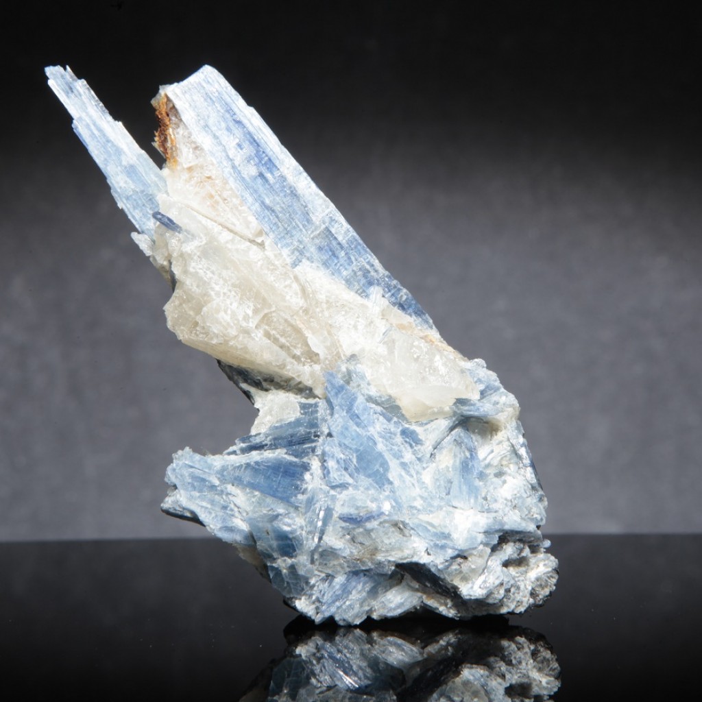 Kyanite, Blue in Quartz 3 1/2" x 1" x 1/2" - Celestial Earth Minerals