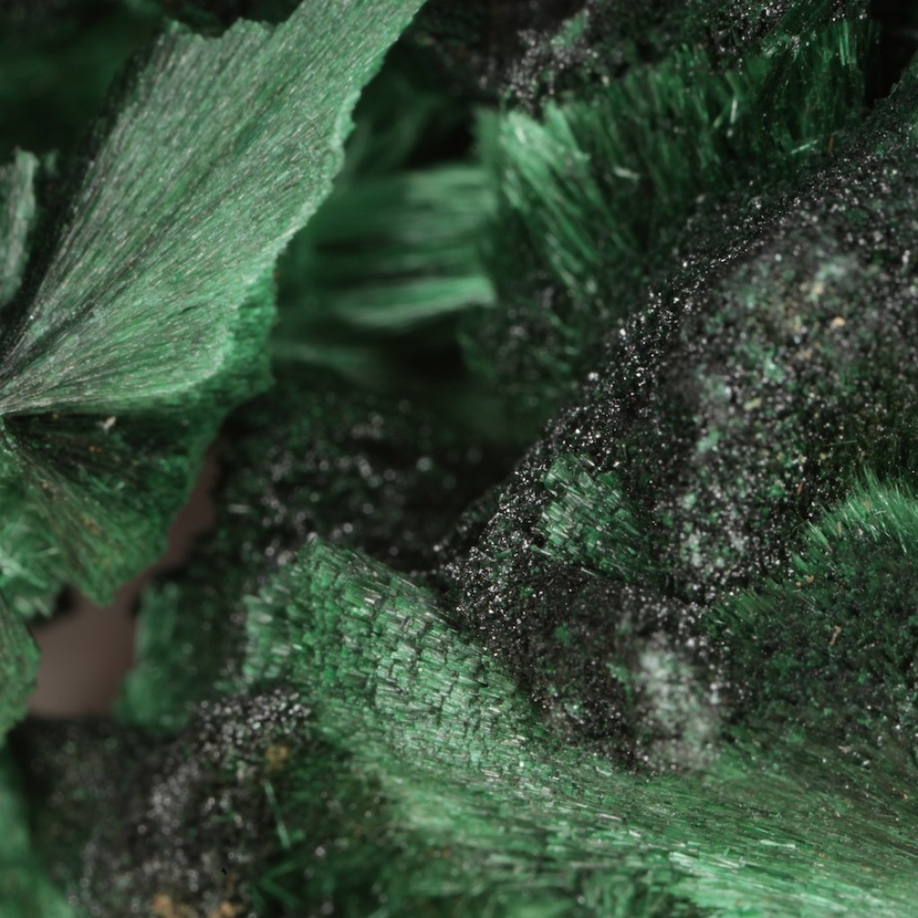 Fibrous Malachite 3" x 11/2" - Celestial Earth Minerals