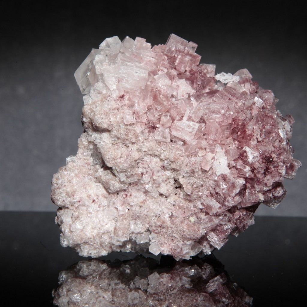 Halite Crystal Mineral Specimen - Celestial Earth Minerals