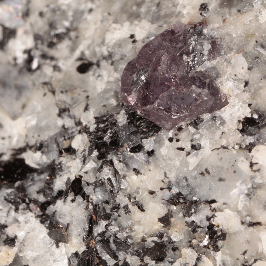 RUBY on MATRIX 2" x 2" - Celestial Earth Minerals