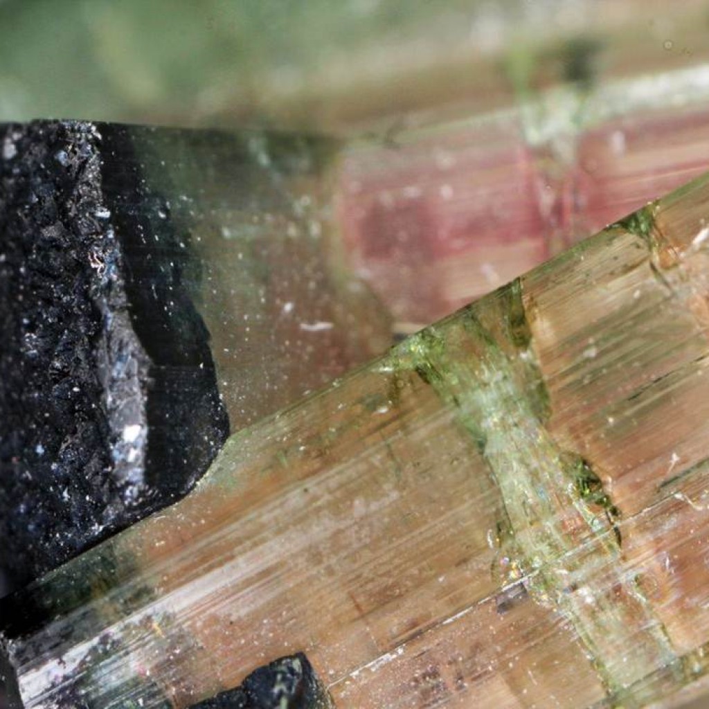 Elbaite 18.11MM X 30.95MM - Celestial Earth Minerals