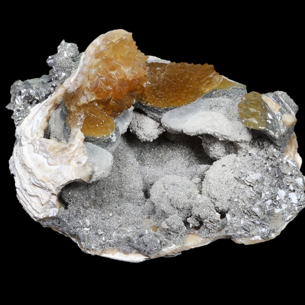 CALCIFIED CLAMSHELL-MINERAL & FOSSIL 3.5" X 4.5" - Celestial Earth Minerals