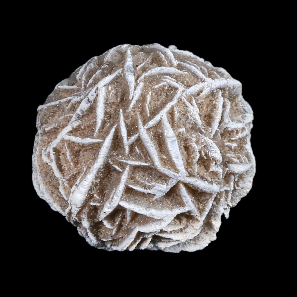 DESERT ROSE-SELENITE - Celestial Earth Minerals