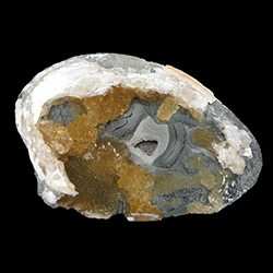 Clamshell Calcite - Celestial Earth Minerals