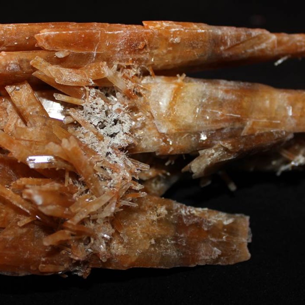 Selenite Blade Cluster Mineral Specimen - Celestial Earth Minerals