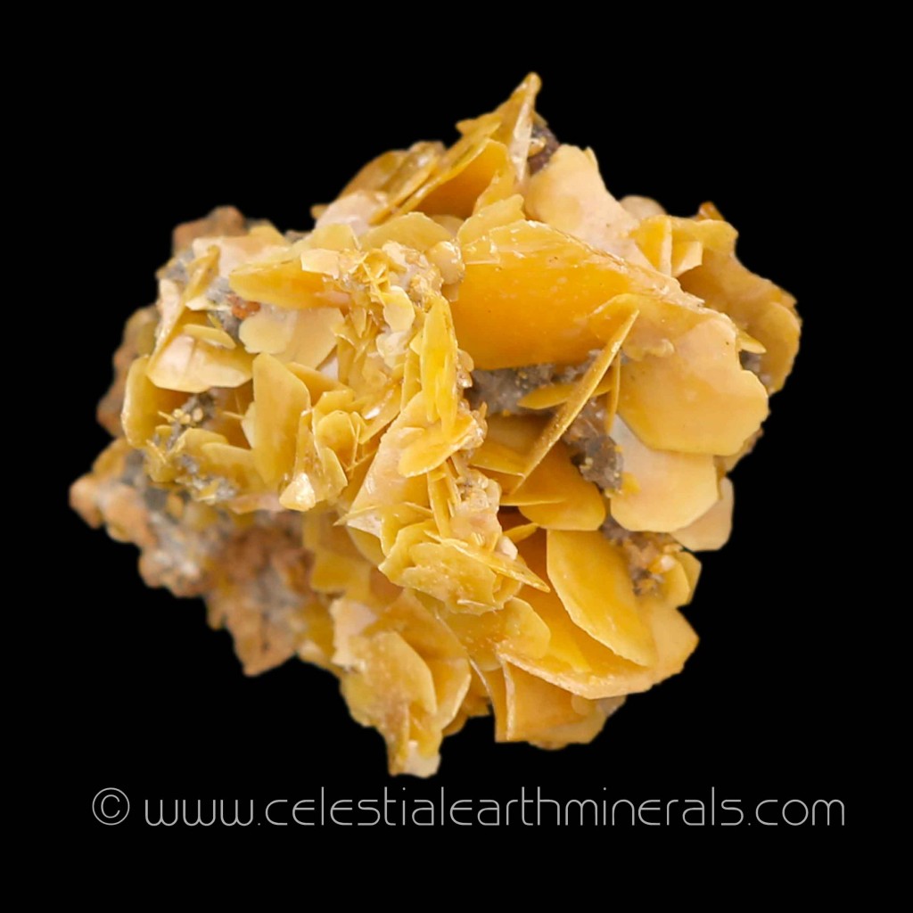 Wulfenite Crystal Mineral Specimen - Celestial Earth Minerals