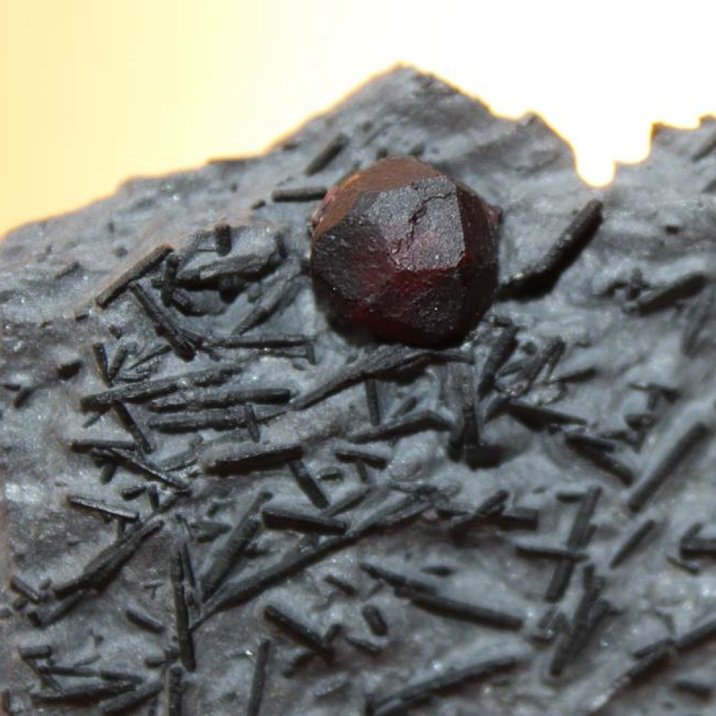 Garnet in Graphite Mineral Specimen - Celestial Earth Minerals