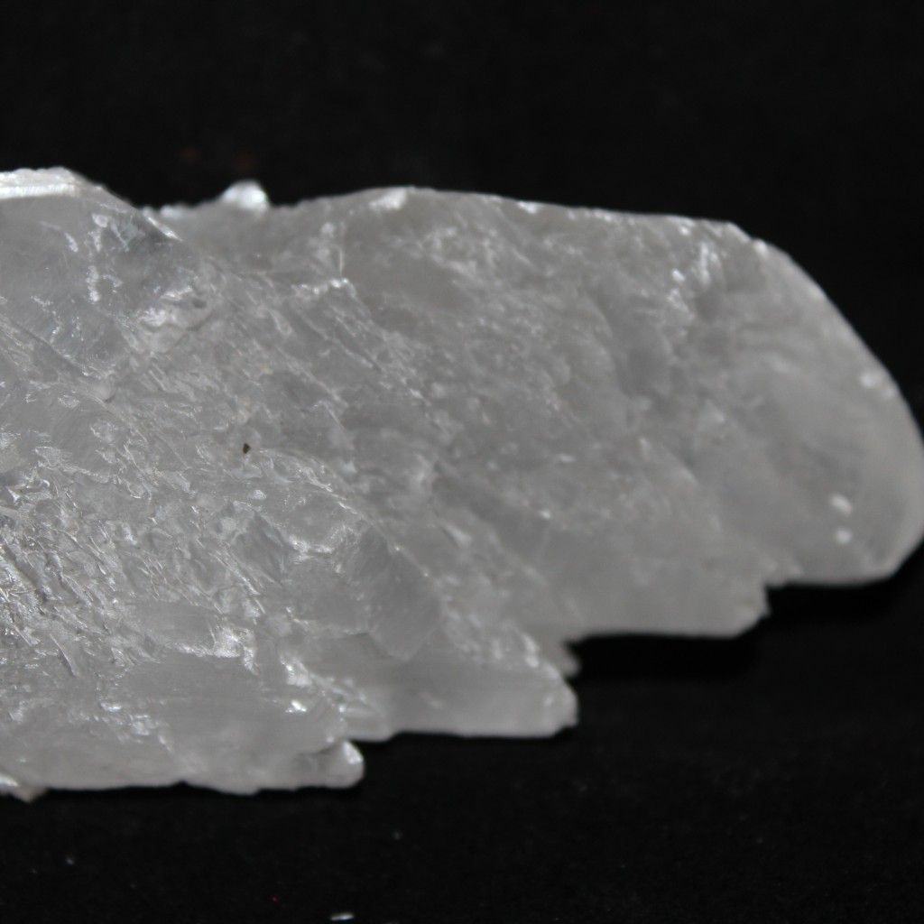 Selenite Fish Tail Crystal Mineral Specimen - Celestial Earth Minerals