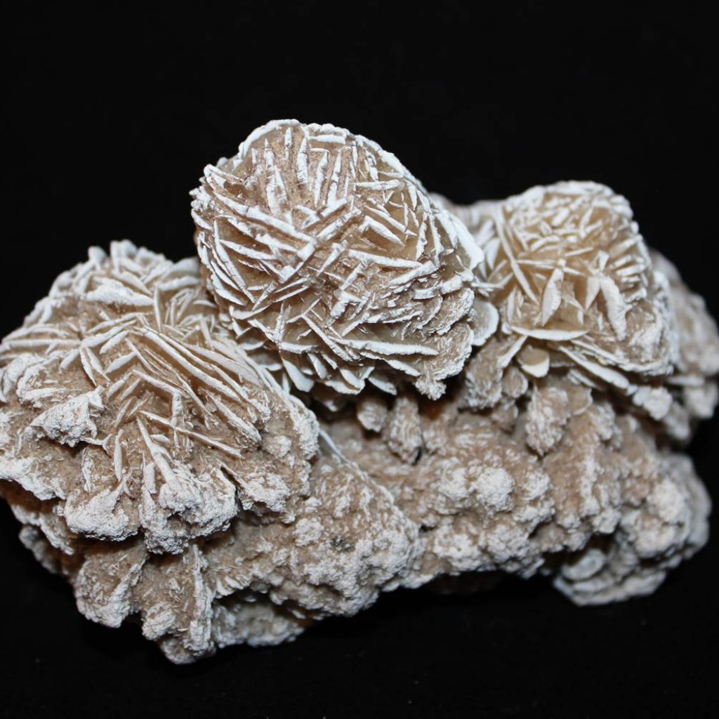Selenite Desert Rose Mineral Specimen - Celestial Earth Minerals