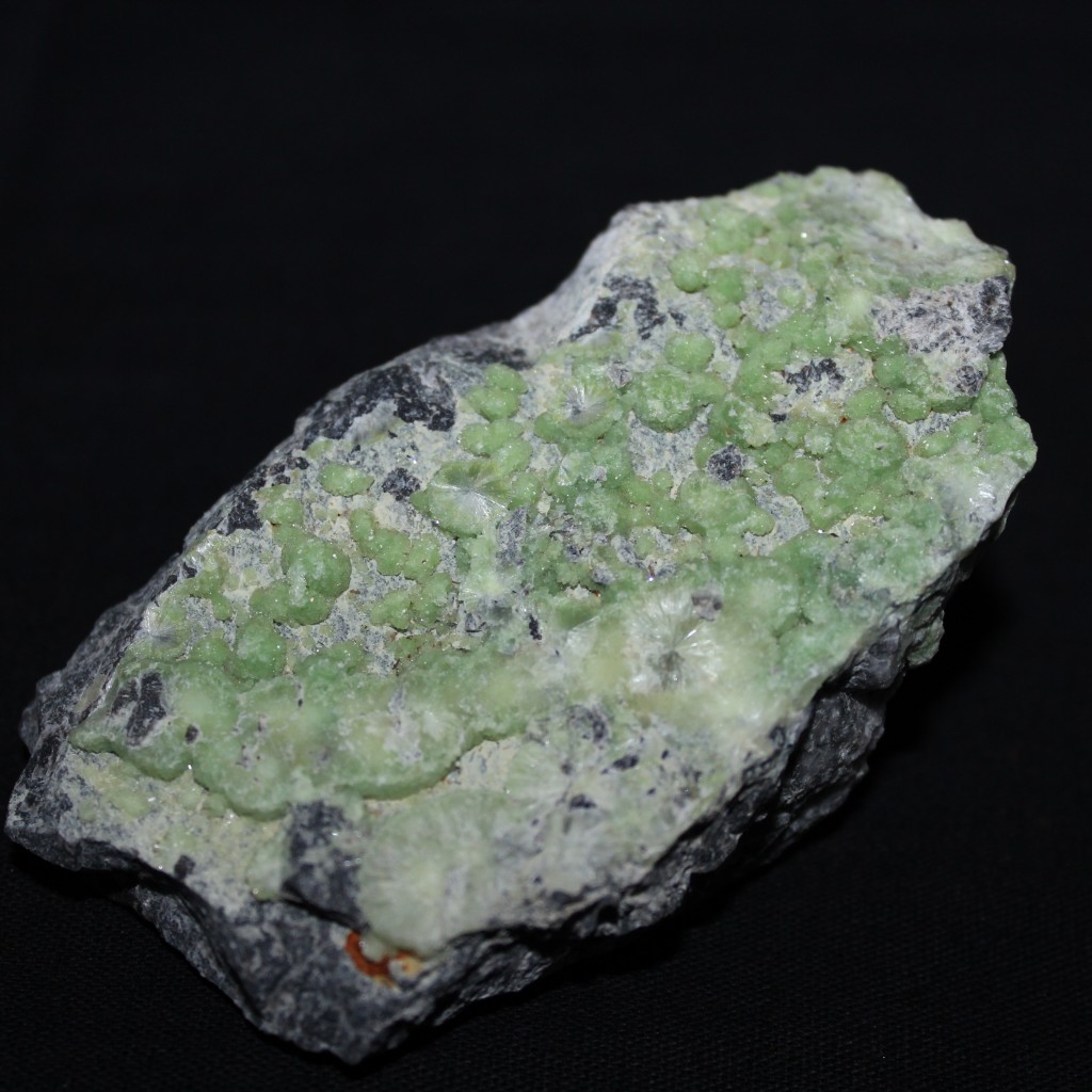 Wavellite Crystal Mineral Specimen - Celestial Earth Minerals