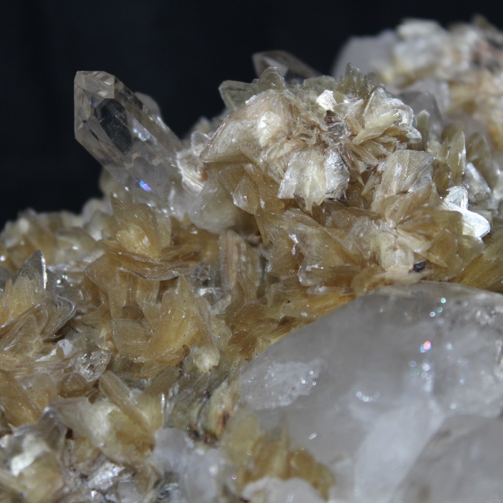 Star Muscovite w/Quartz on Albite Crystal Specimen - Celestial Earth ...