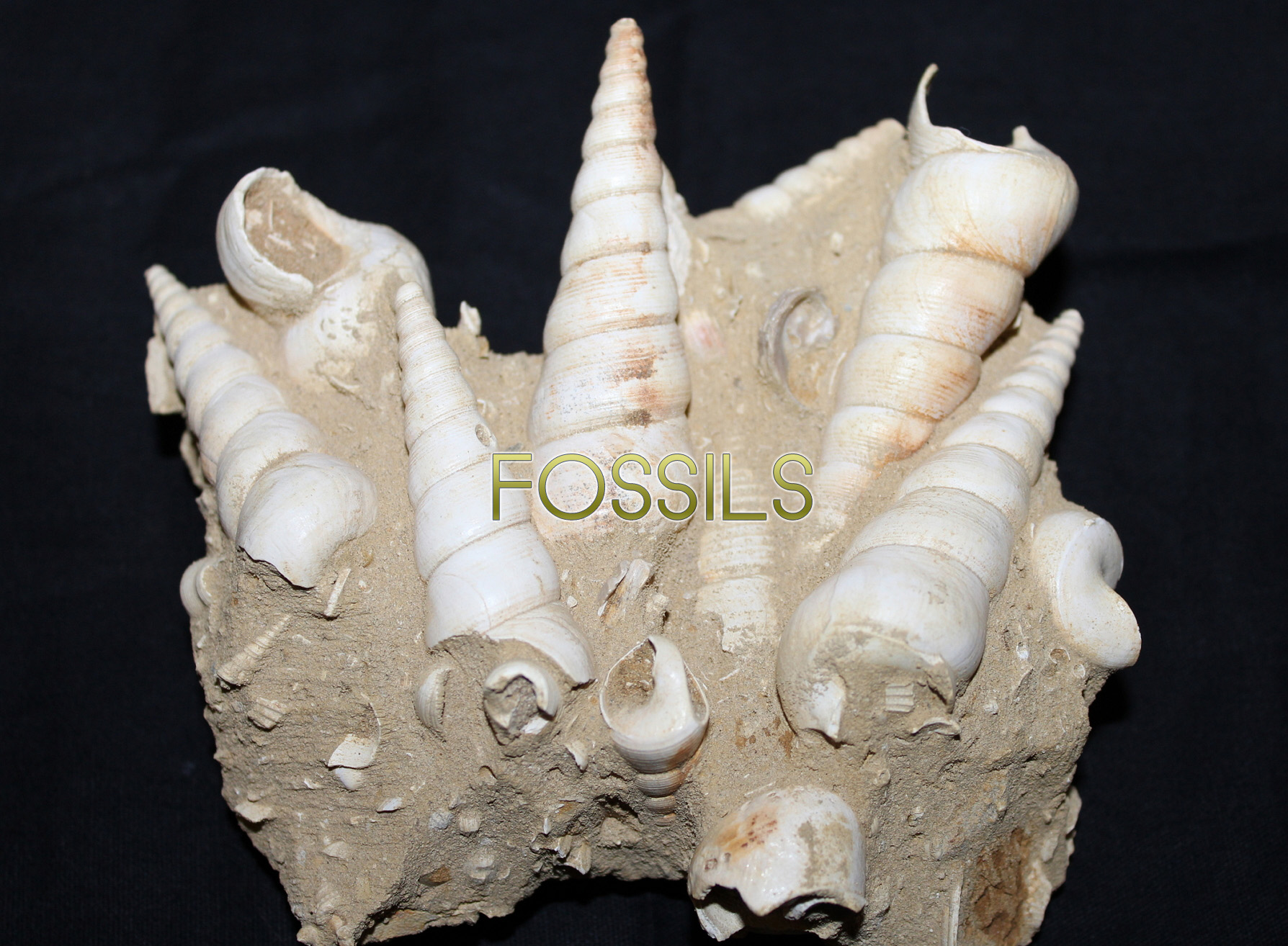 Semi Precious Gemstones, Rocks, Stones, Chakra Healing Stones ...