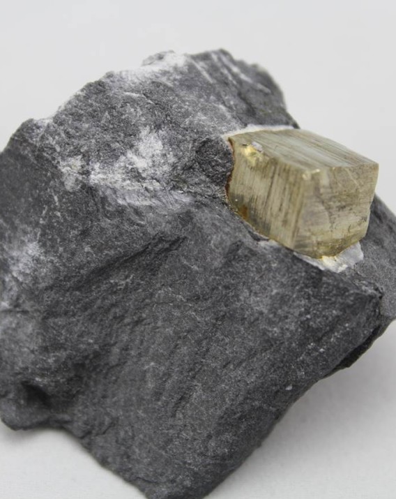 Pyrite on Phyllite Matrix Specimen - Celestial Earth Minerals