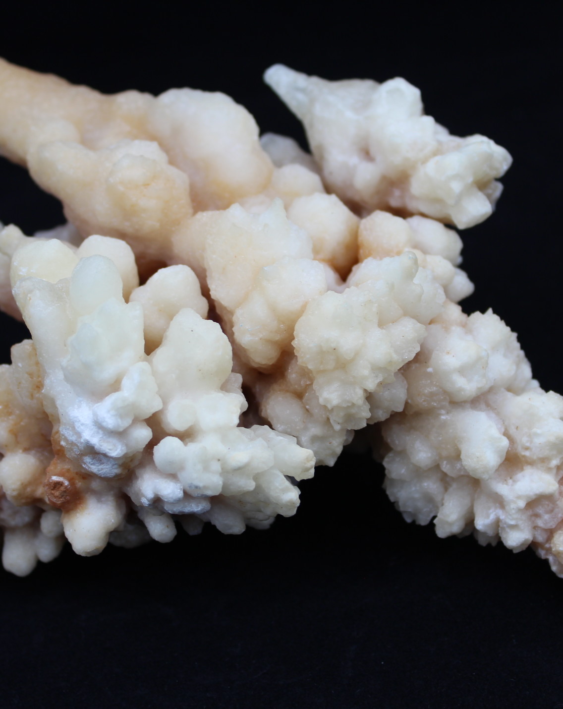 Stalactite Calcite Mineral Specimen - Celestial Earth Minerals