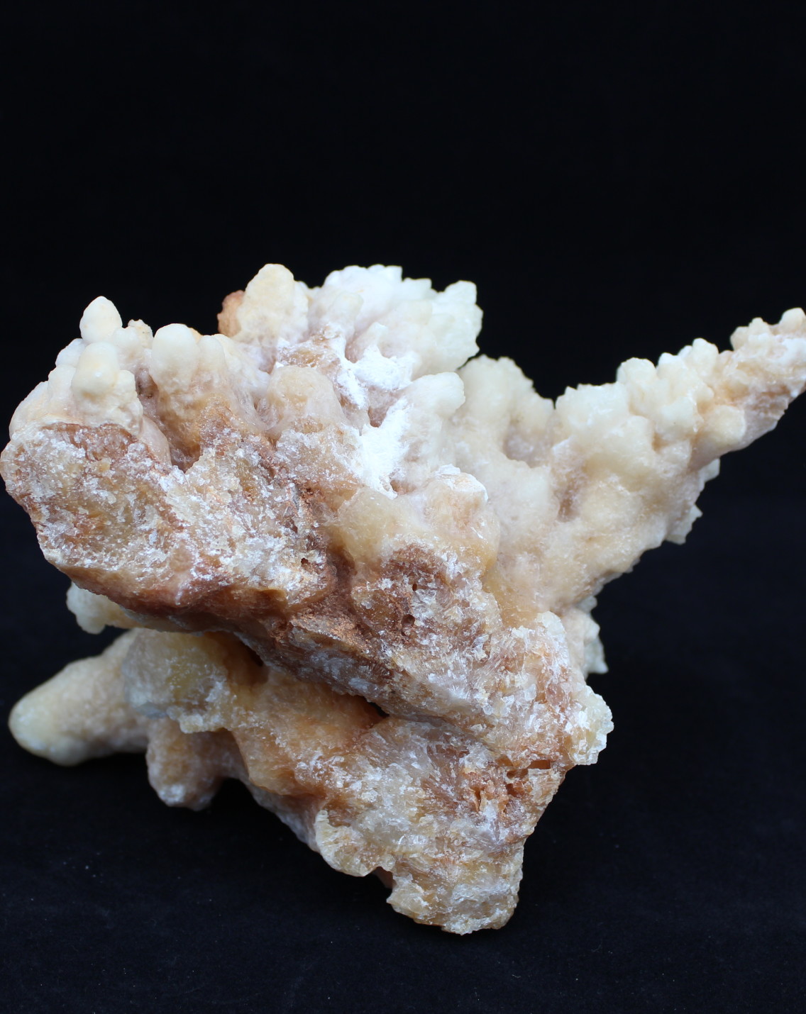 Stalactite Calcite Mineral Specimen - Celestial Earth Minerals