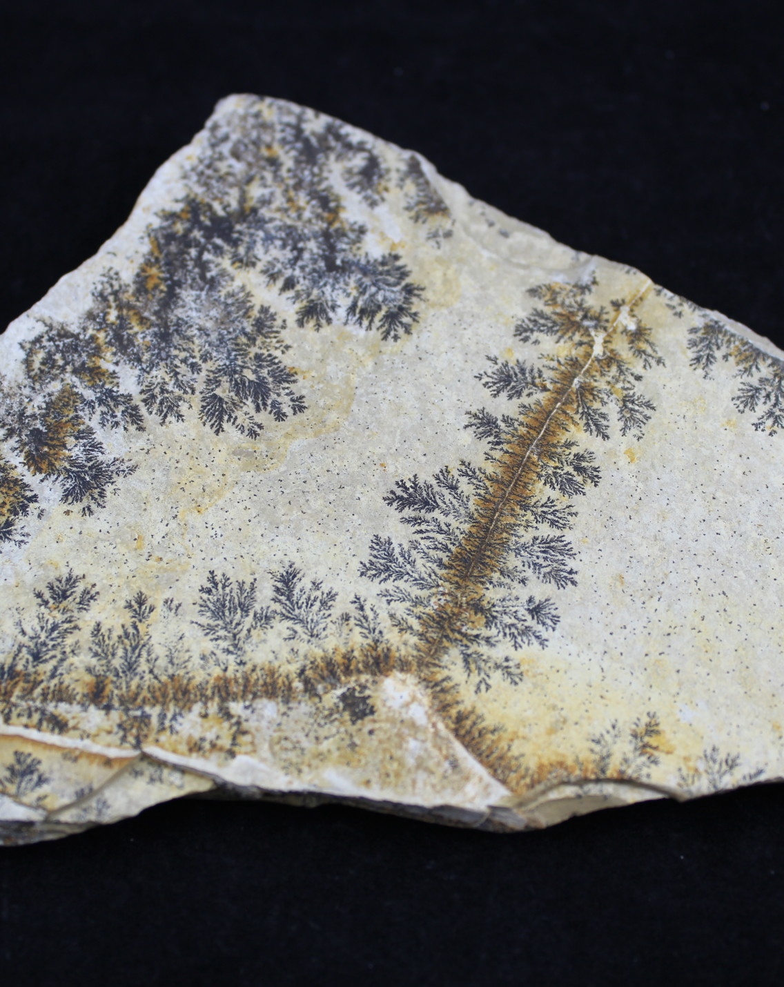 Manganese Dendrite Mineral Specimen - Celestial Earth Minerals