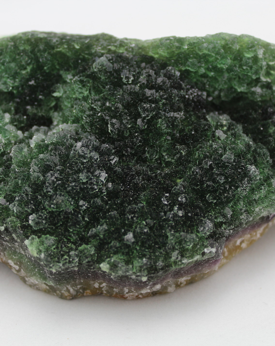 Fluorite Green Botryoidal Mineral Specimen - Celestial Earth Minerals