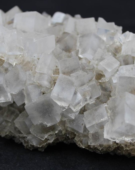 Halite Mineral Specimen - Celestial Earth Minerals