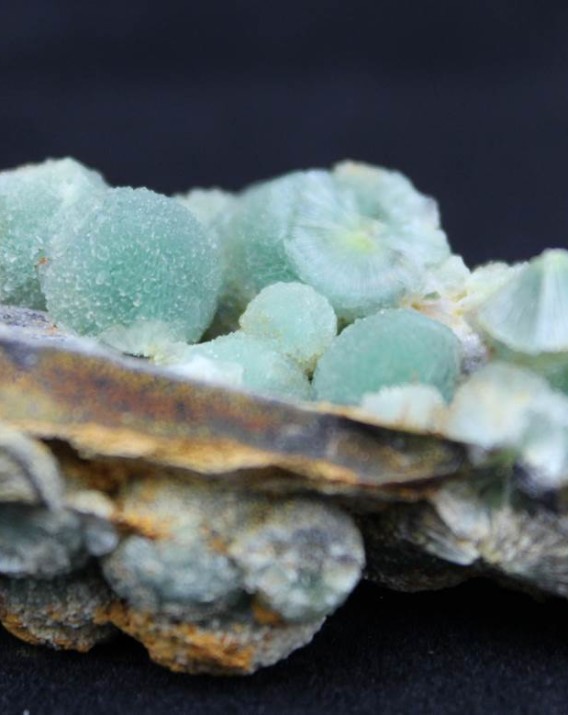 Wavellite Crystal Mineral Specimen - Celestial Earth Minerals