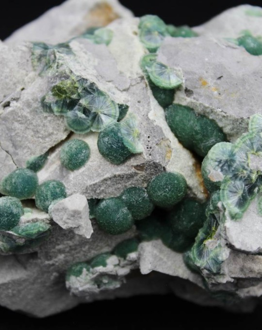 Wavellite Crystal Mineral Specimen - Celestial Earth Minerals