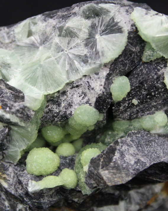 Wavellite Crystal Mineral Specimen - Celestial Earth Minerals