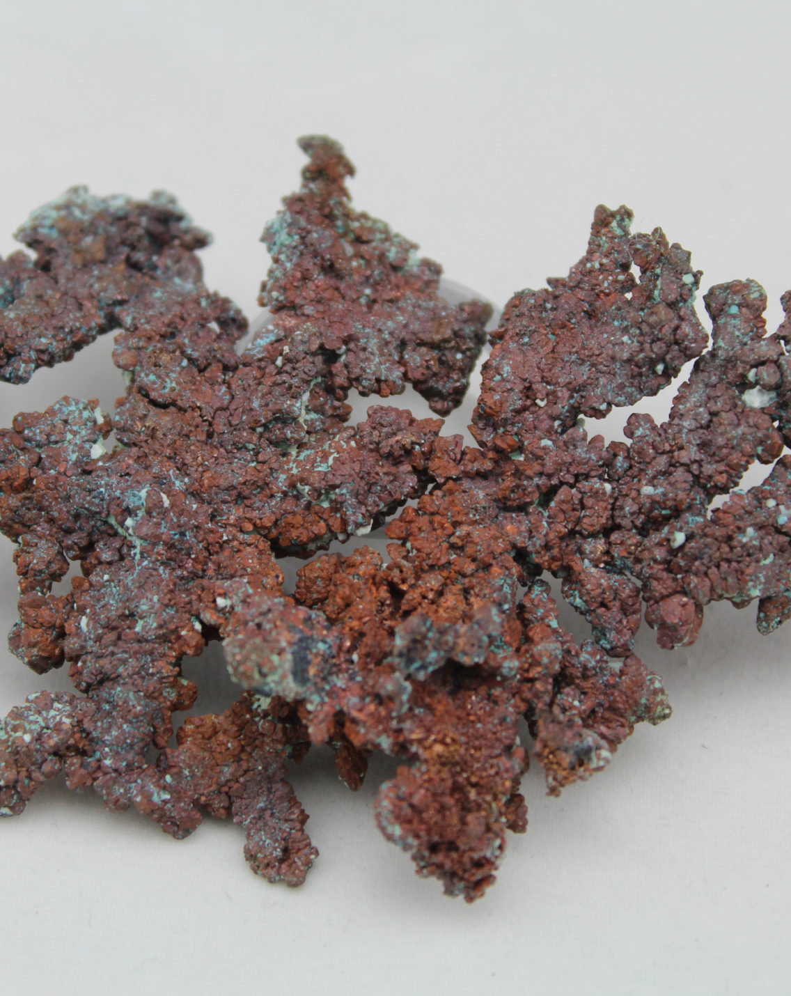 Cuprite on Copper Mineral Specimen #9 - Celestial Earth Minerals