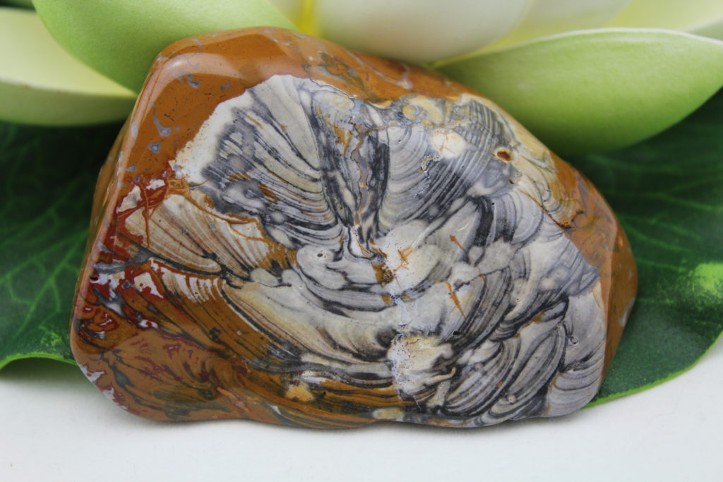 Flint var. Quartz #3 - Celestial Earth Minerals